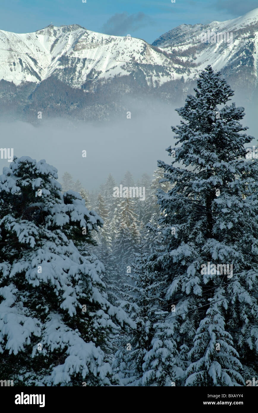 Snow-covered fir trees and a mountain valley near Chabanon, French Alps ...