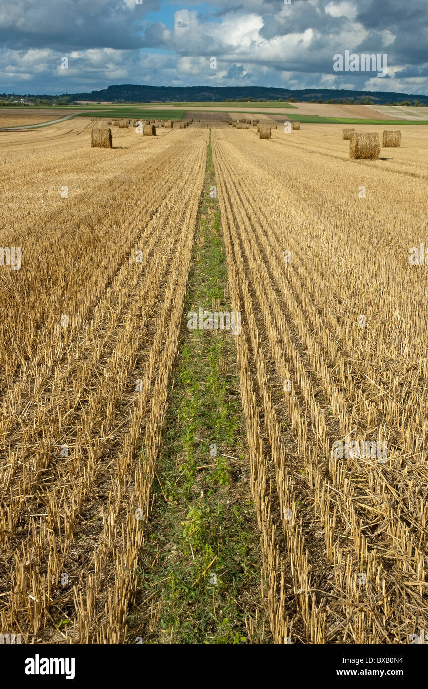 Patchwork fields in france hi-res stock photography and images - Alamy