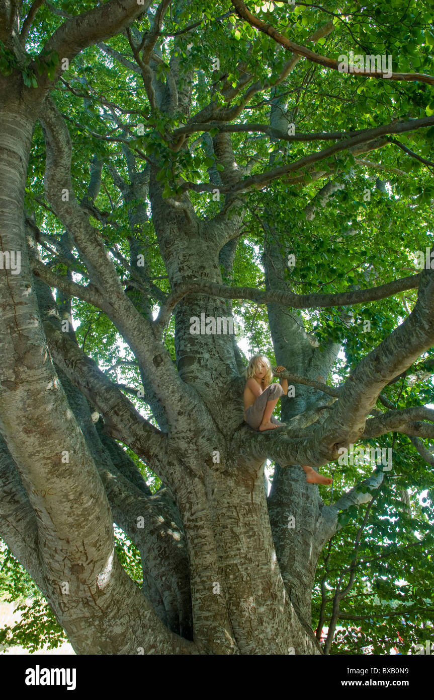 Boy sitting atop tree Stock Photo - Alamy