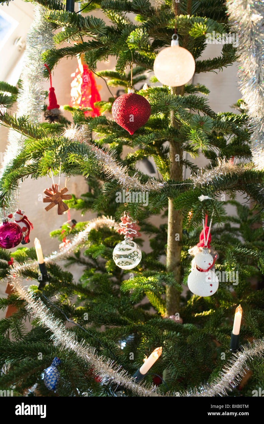 Close-up view of christmas tree Stock Photo - Alamy