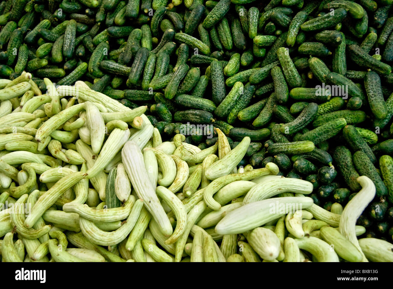 Vegetable cucumber gherkin hi-res stock photography and images - Alamy