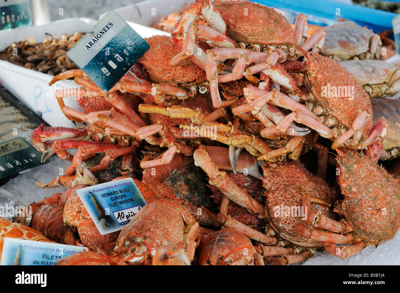 French crabs hi-res stock photography and images - Alamy