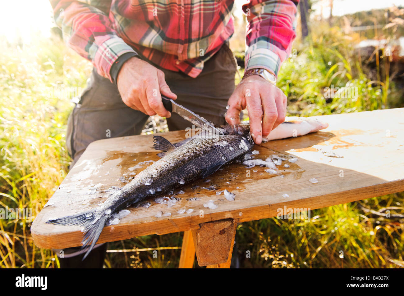Overhead view nordic food prep hi-res stock photography and images - Alamy