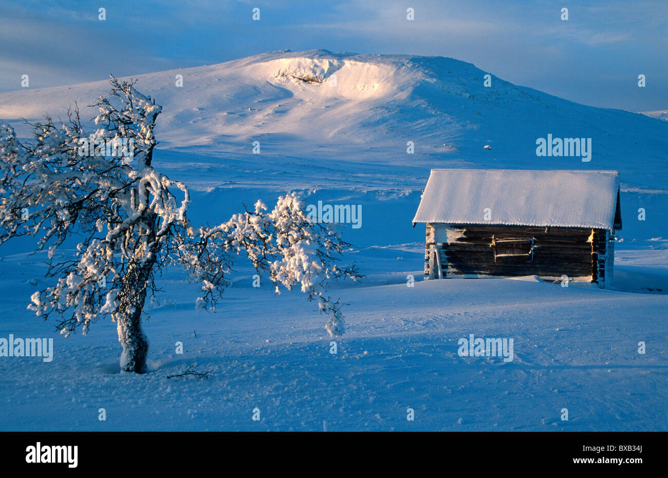 Log cabin and tree in snow covered valley Stock Photo - Alamy