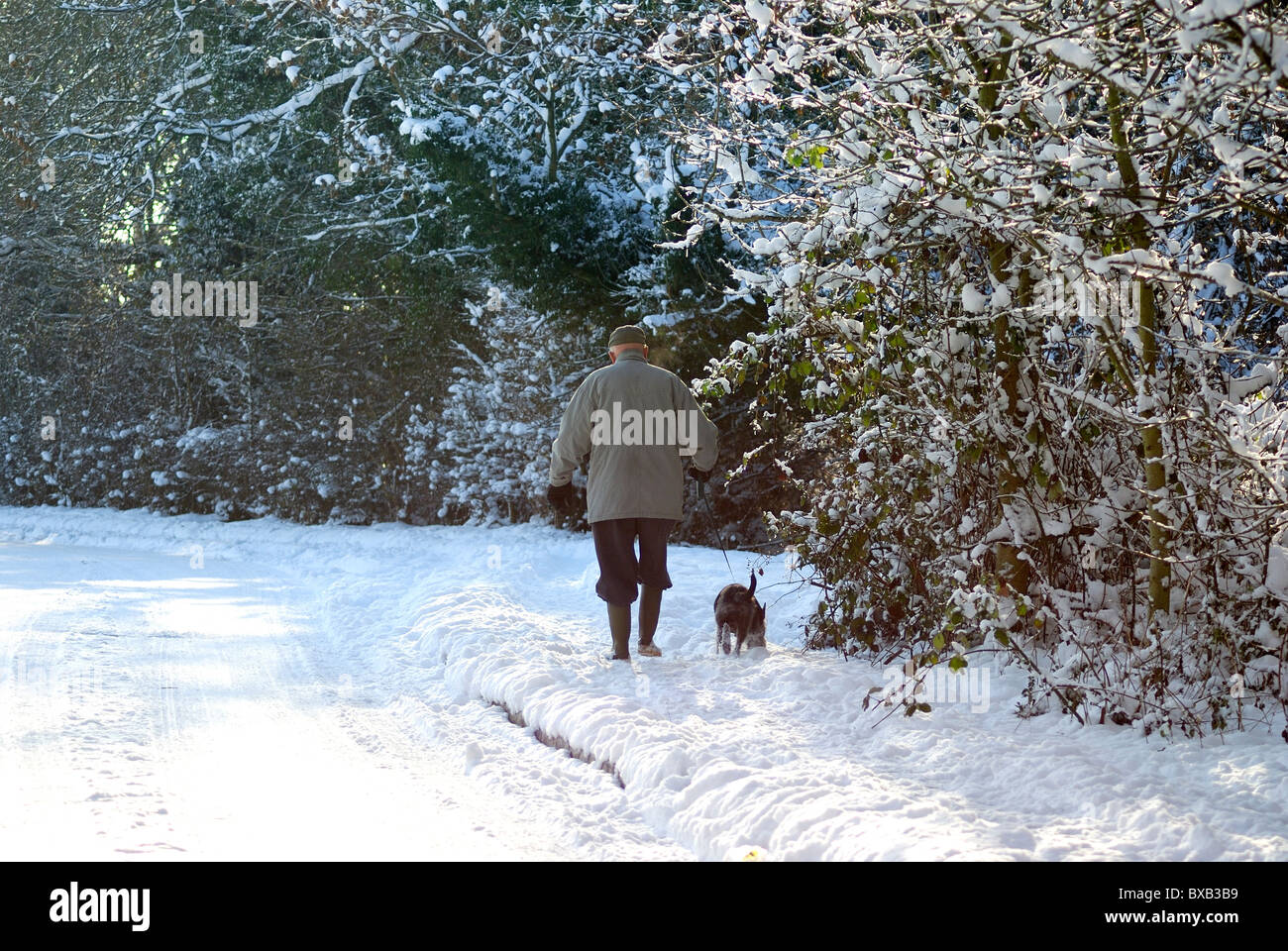 Old man dog hi-res stock photography and images - Alamy