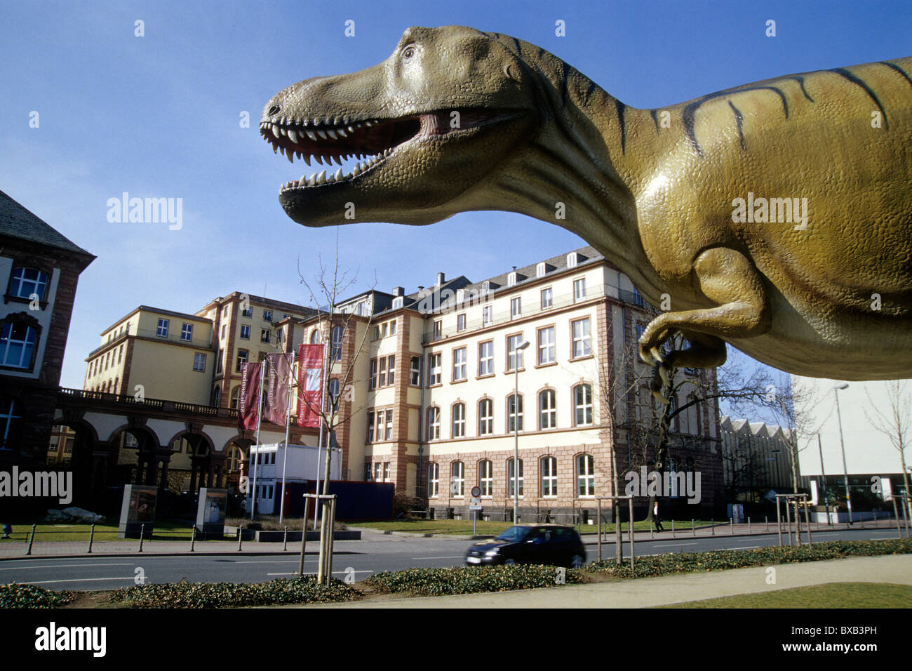 Dinosaurs at the Naturmuseum Natural History Museum, Senckenberg Museum ...