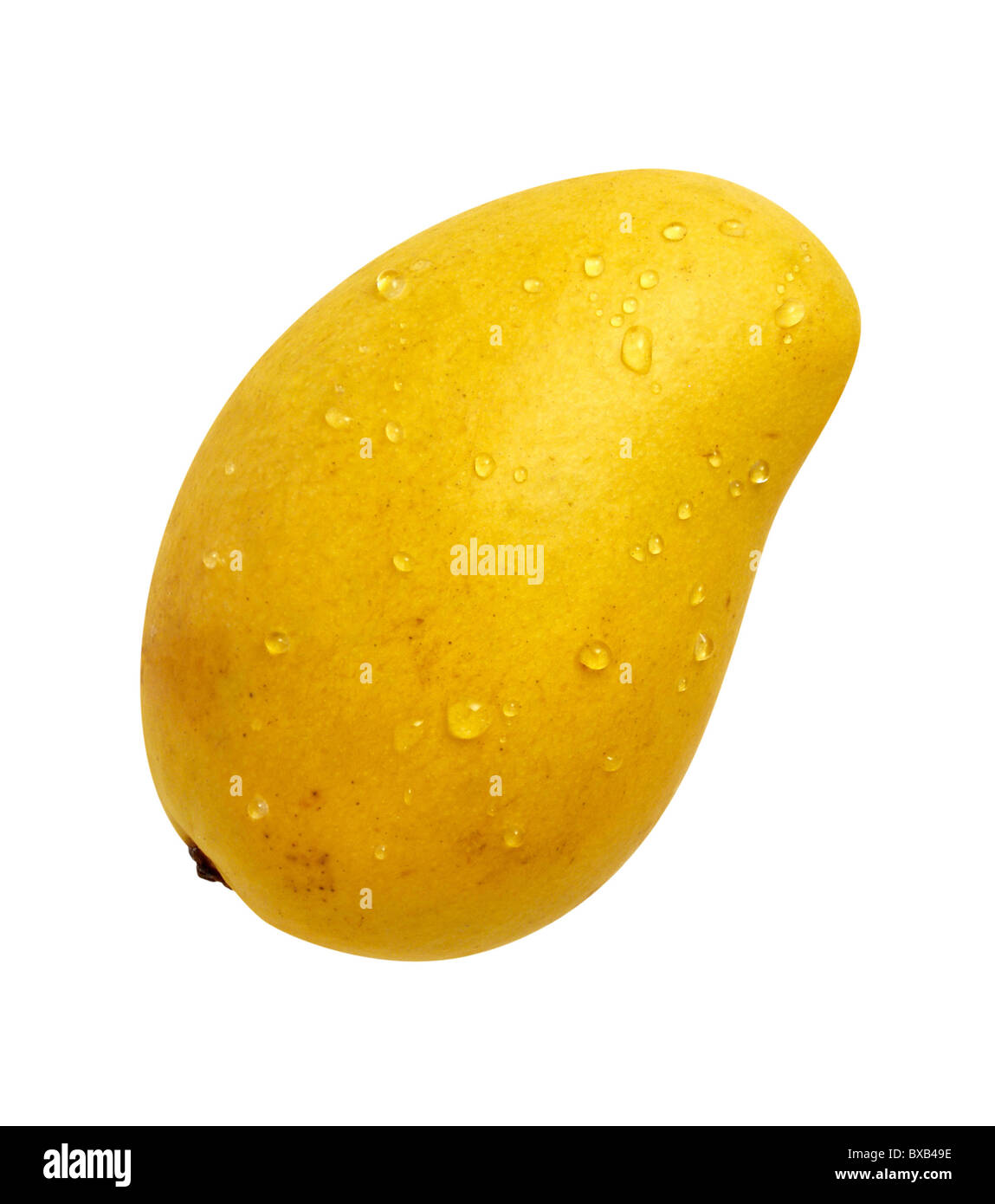 Ataulfo Mango isolated on a white background Stock Photo - Alamy