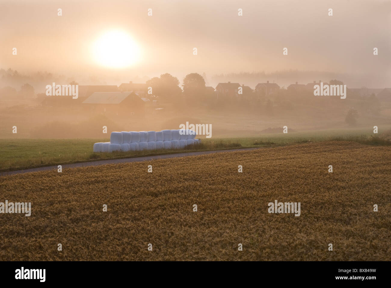 Sunrise over farm field hi-res stock photography and images - Alamy