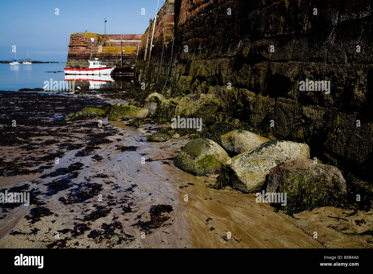 North Berwick beach in the sunshine Stock Photo - Alamy