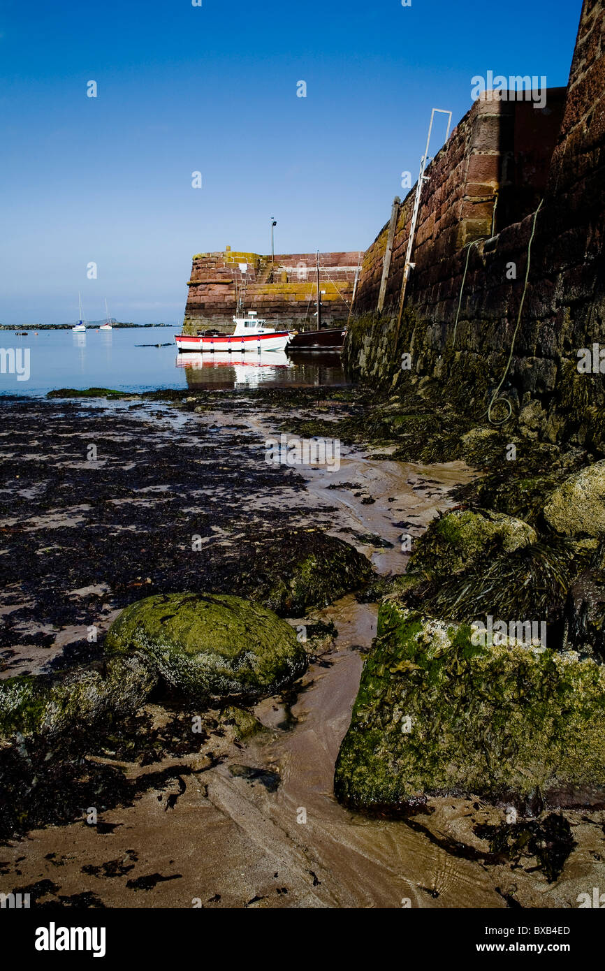 North Berwick beach in the sunshine Stock Photo - Alamy