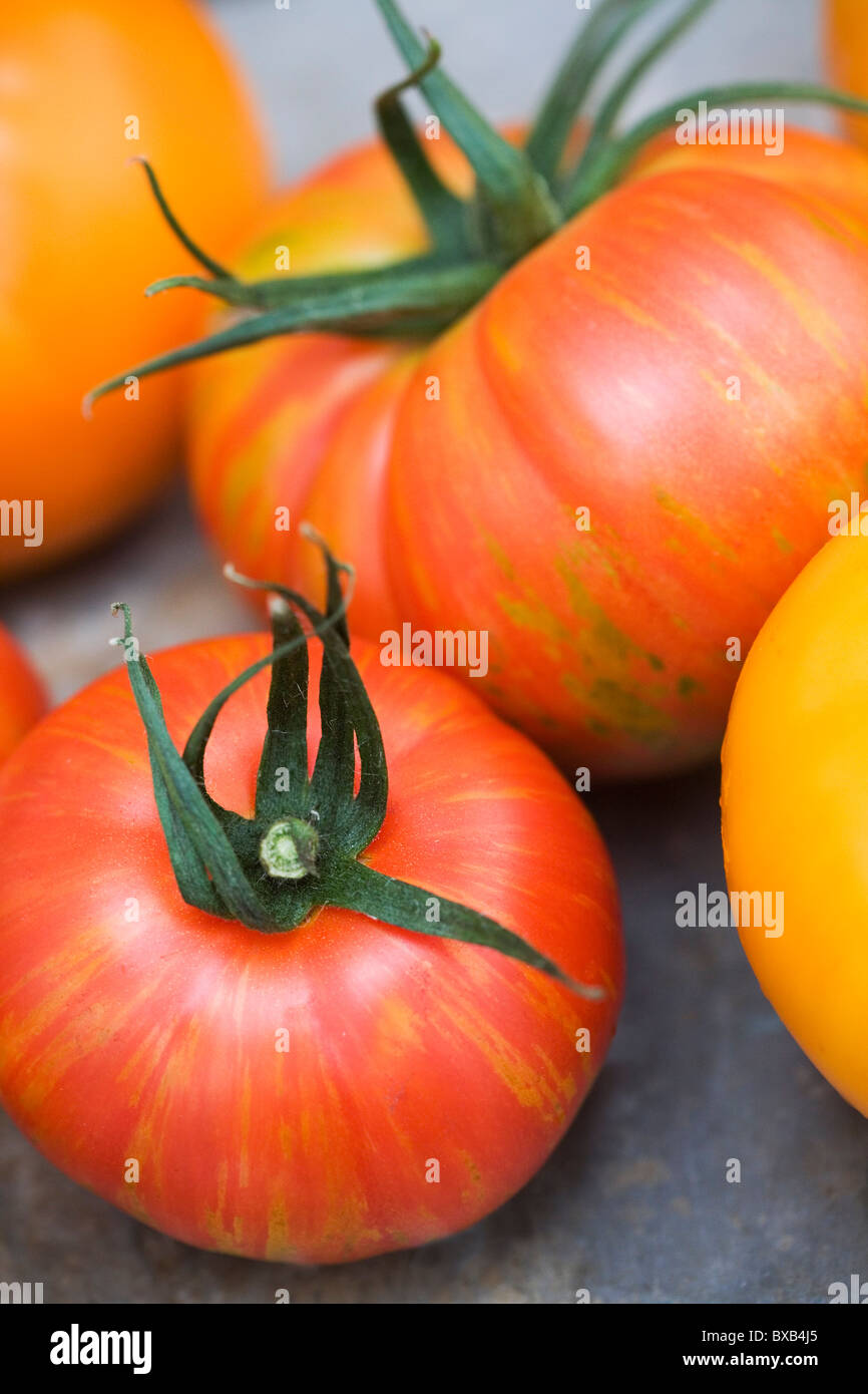 Fresh tomatoes, close-up Stock Photo - Alamy