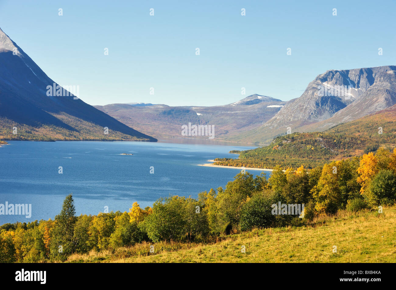 Mountain and forest on sea shore Stock Photo - Alamy