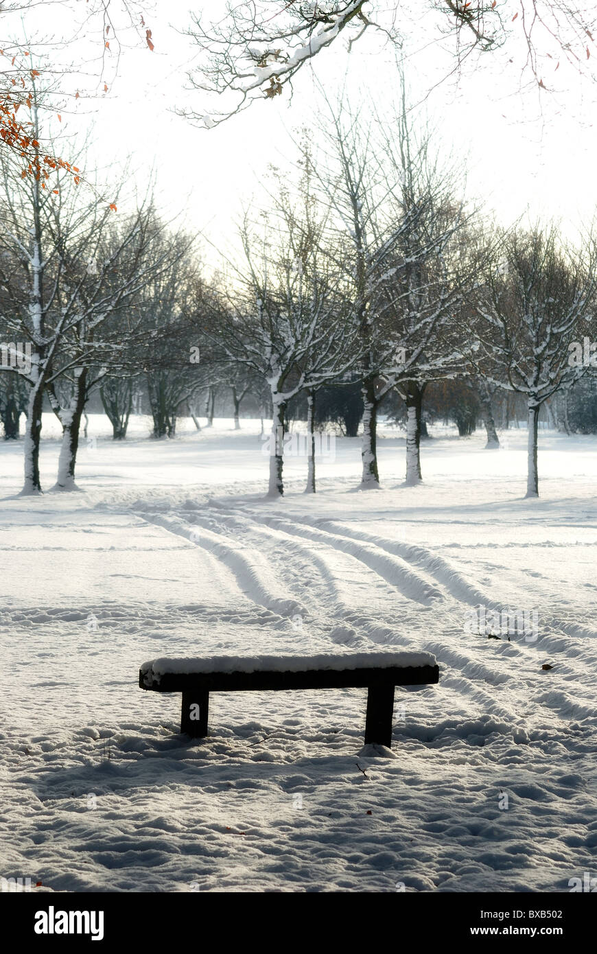 winter scene park bench england uk Stock Photo - Alamy