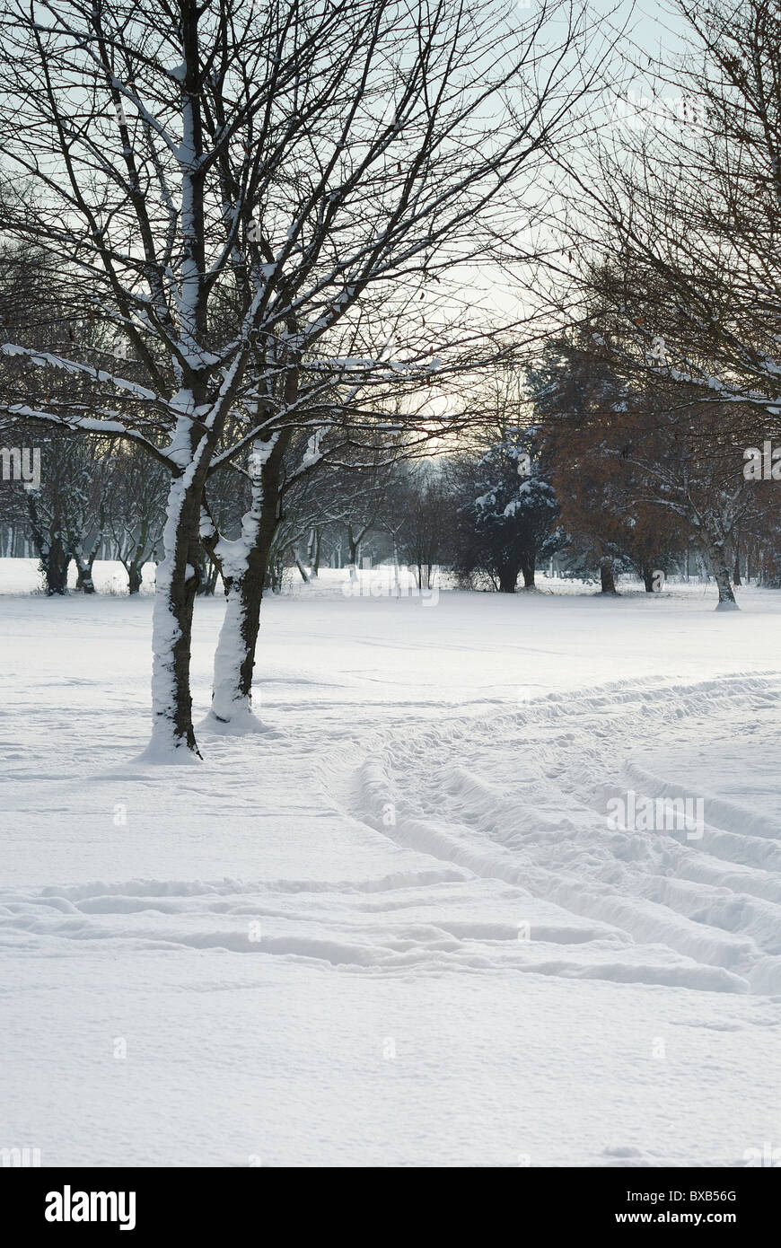 winter scene trees england uk Stock Photo - Alamy