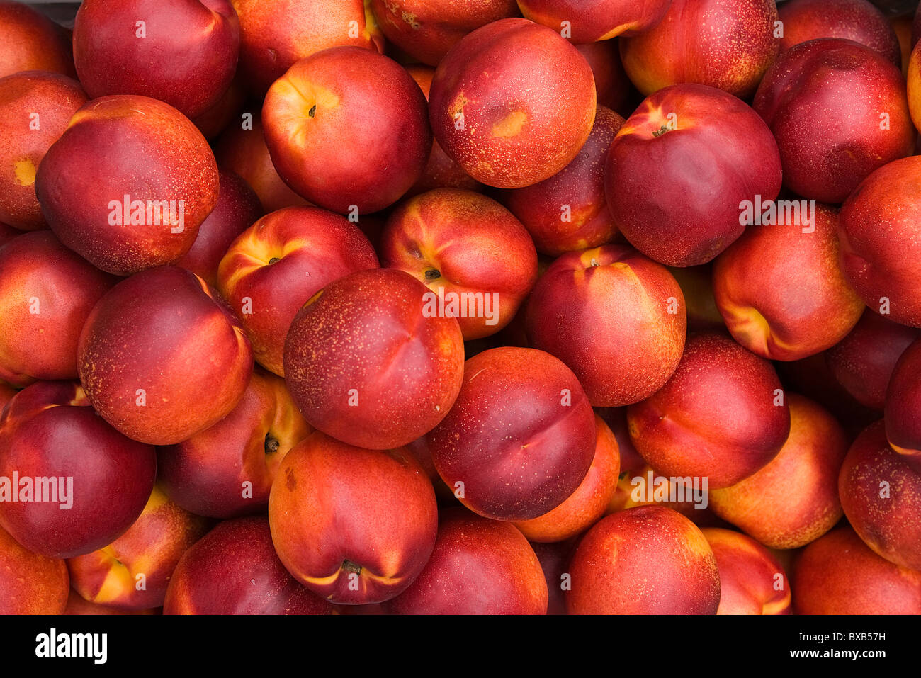 Fresh nectarines, close-up Stock Photo - Alamy
