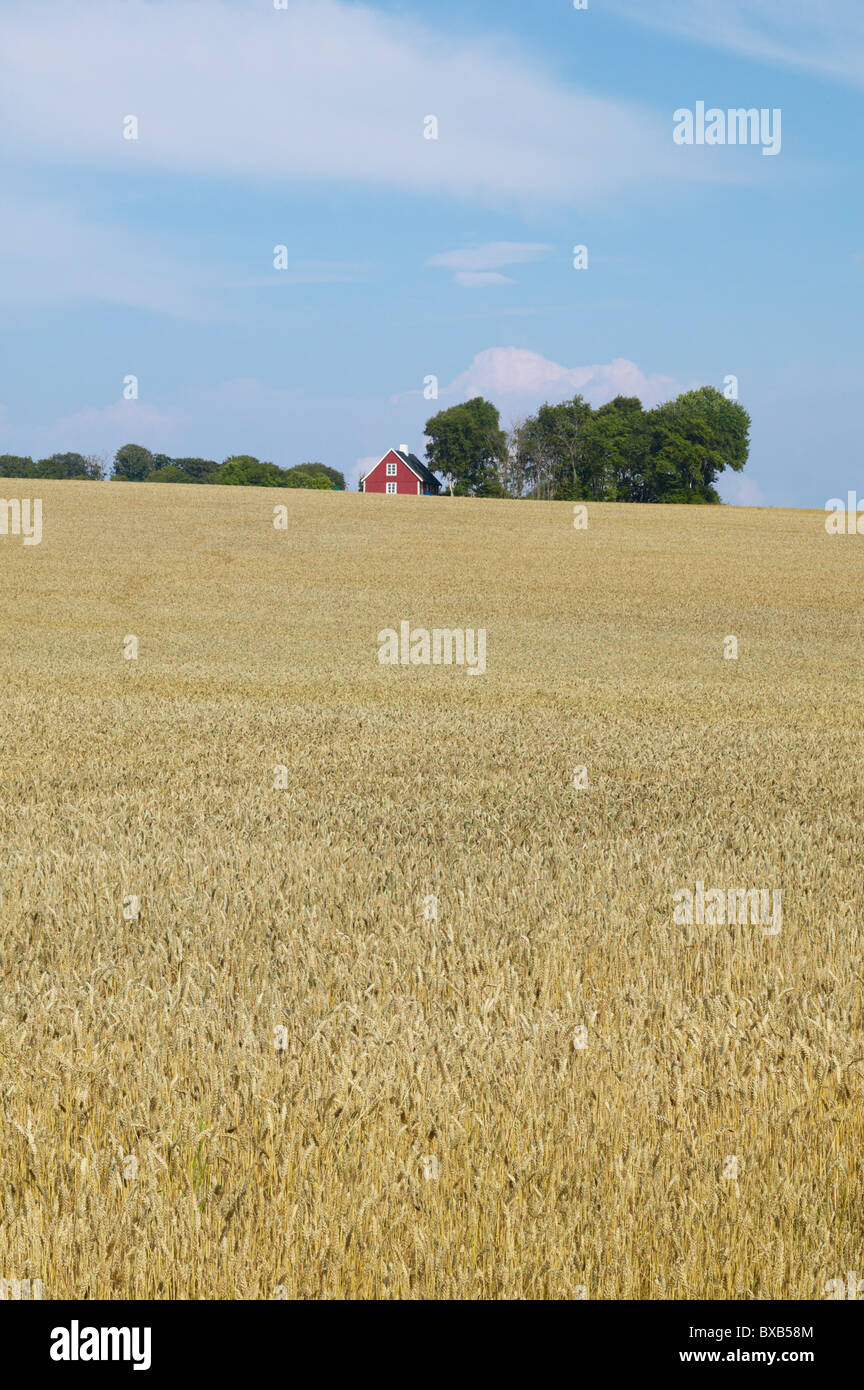 Remote farmhouse in distance hi-res stock photography and images - Alamy