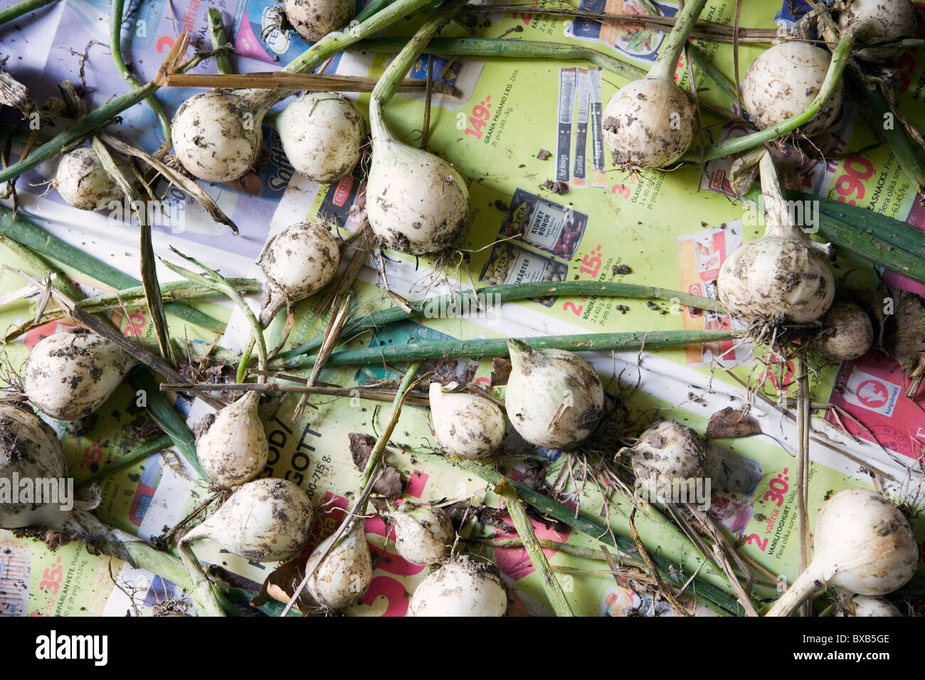 Mucky magazines hi-res stock photography and images - Alamy