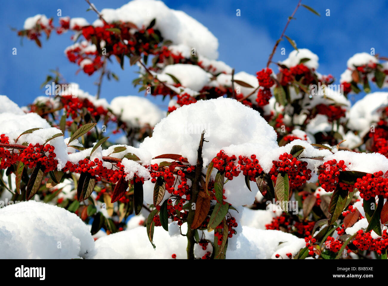 winter scene england uk Stock Photo - Alamy