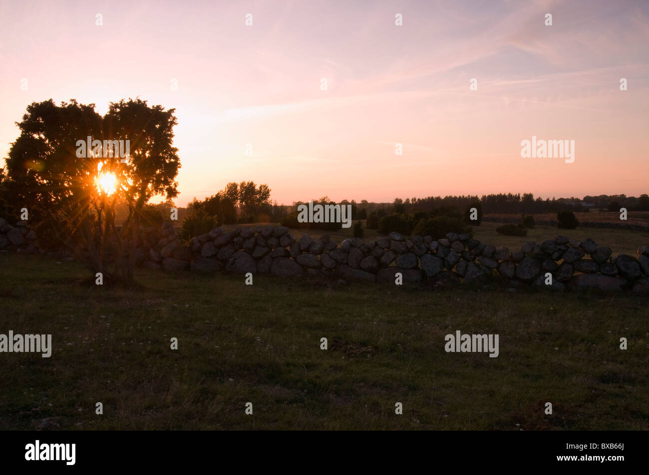 Sunshine behind trees hi-res stock photography and images - Alamy