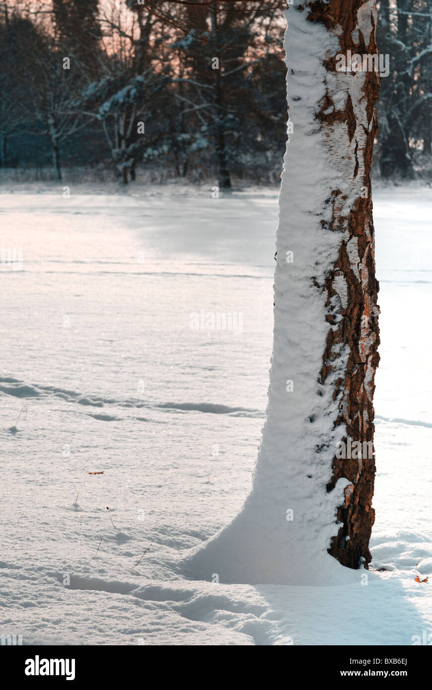 winter wintry snow scene england uk Stock Photo - Alamy