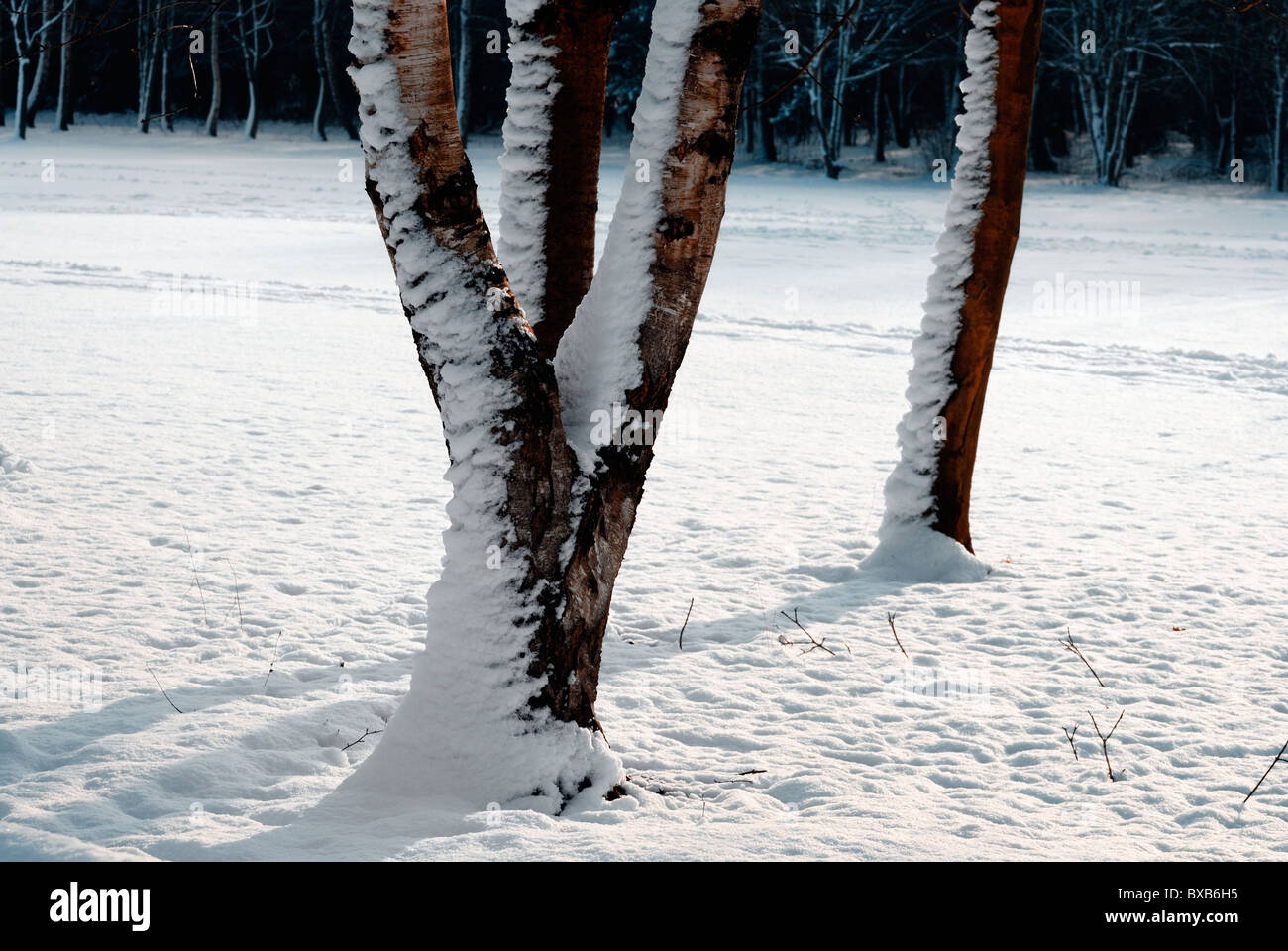 winter scene england uk Stock Photo - Alamy