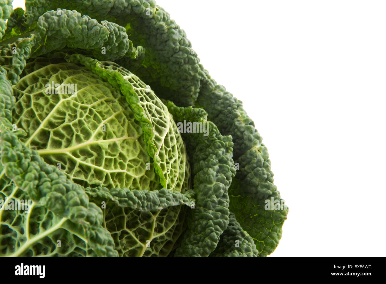 Fresh green cabbage isolated over white background Stock Photo - Alamy
