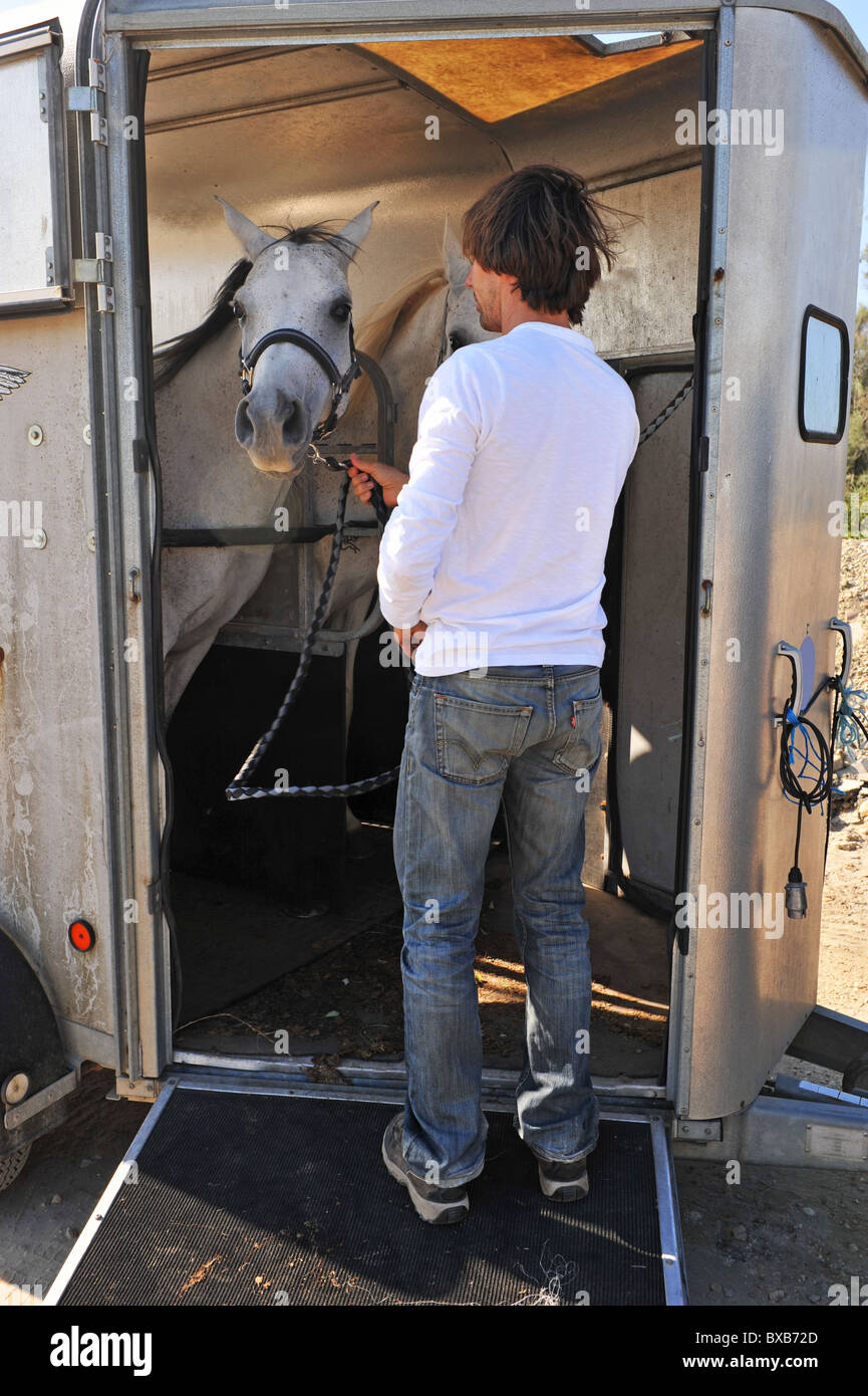 Horse In A Box High Resolution Stock Photography and Images - Alamy