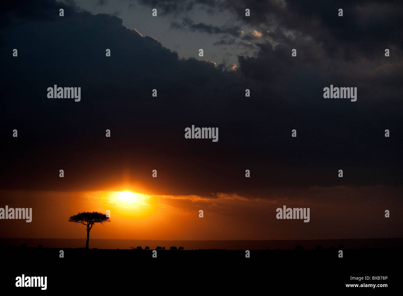 Kenya landscape at sunset Stock Photo - Alamy