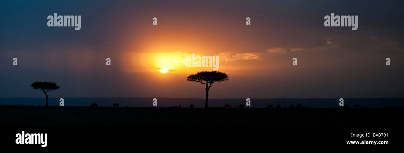Kenya landscape at sunset Stock Photo - Alamy