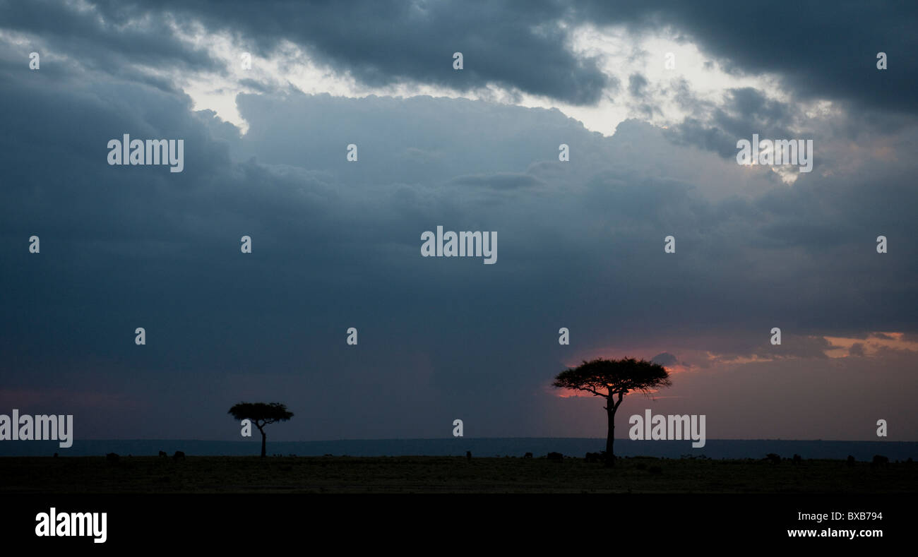 Kenya landscape at sunset Stock Photo - Alamy