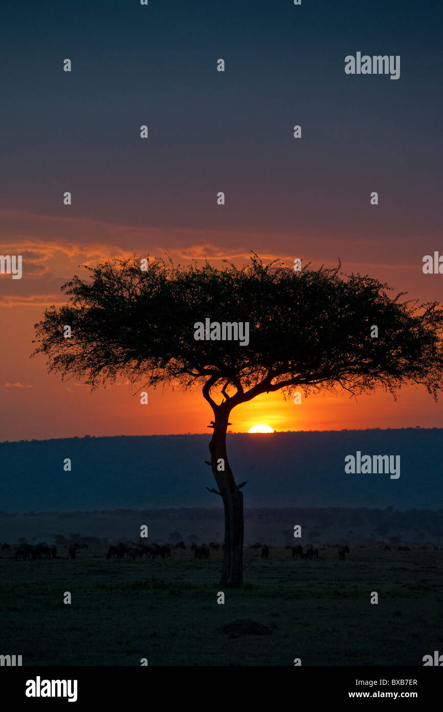 Kenya sky at sunset Stock Photo - Alamy