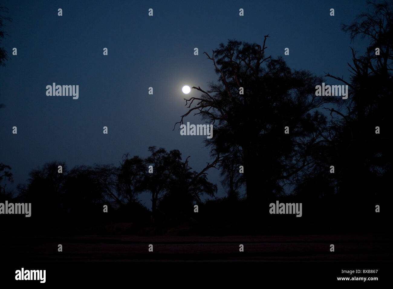 Full moon over Kenya Stock Photo - Alamy