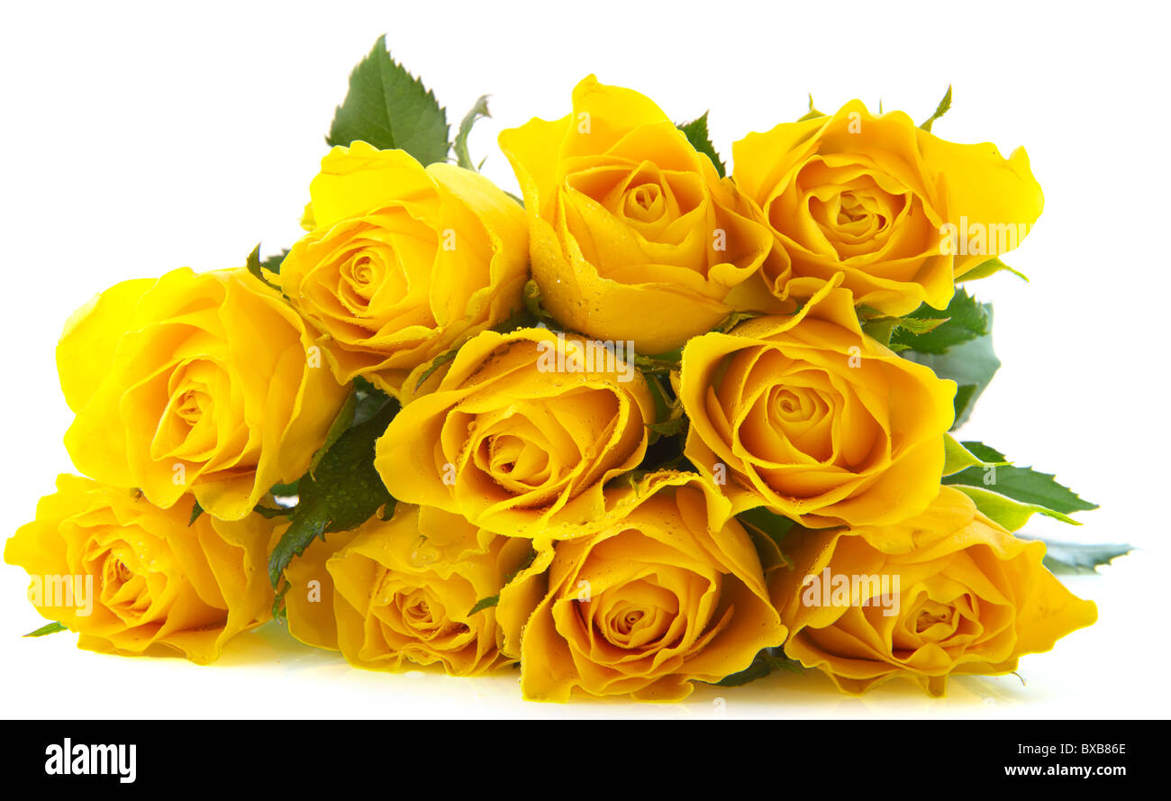 Bouquet with ten beautiful yellow roses isolated over white Stock Photo ...