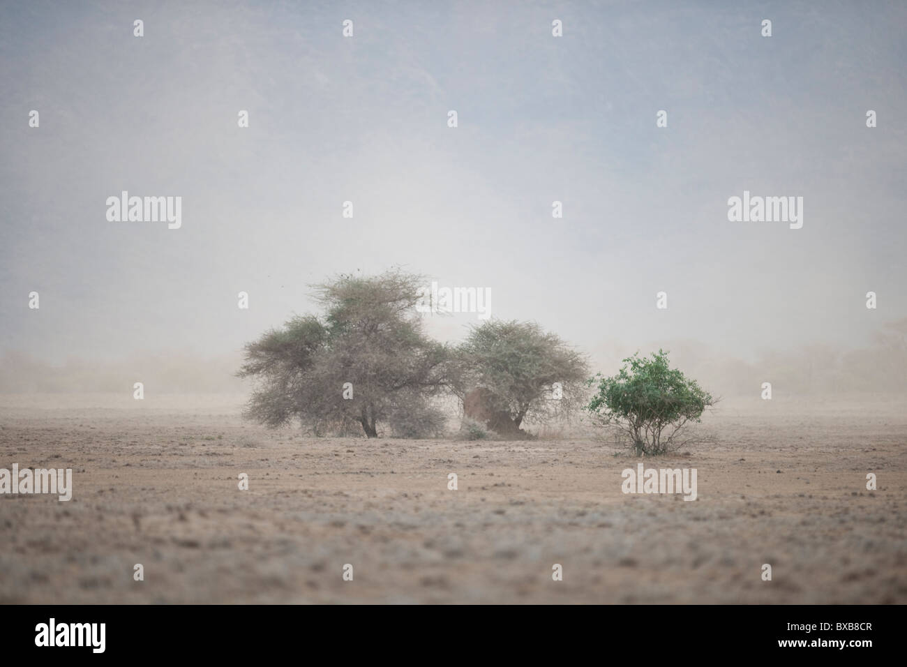 Kenyan landscape hi-res stock photography and images - Alamy