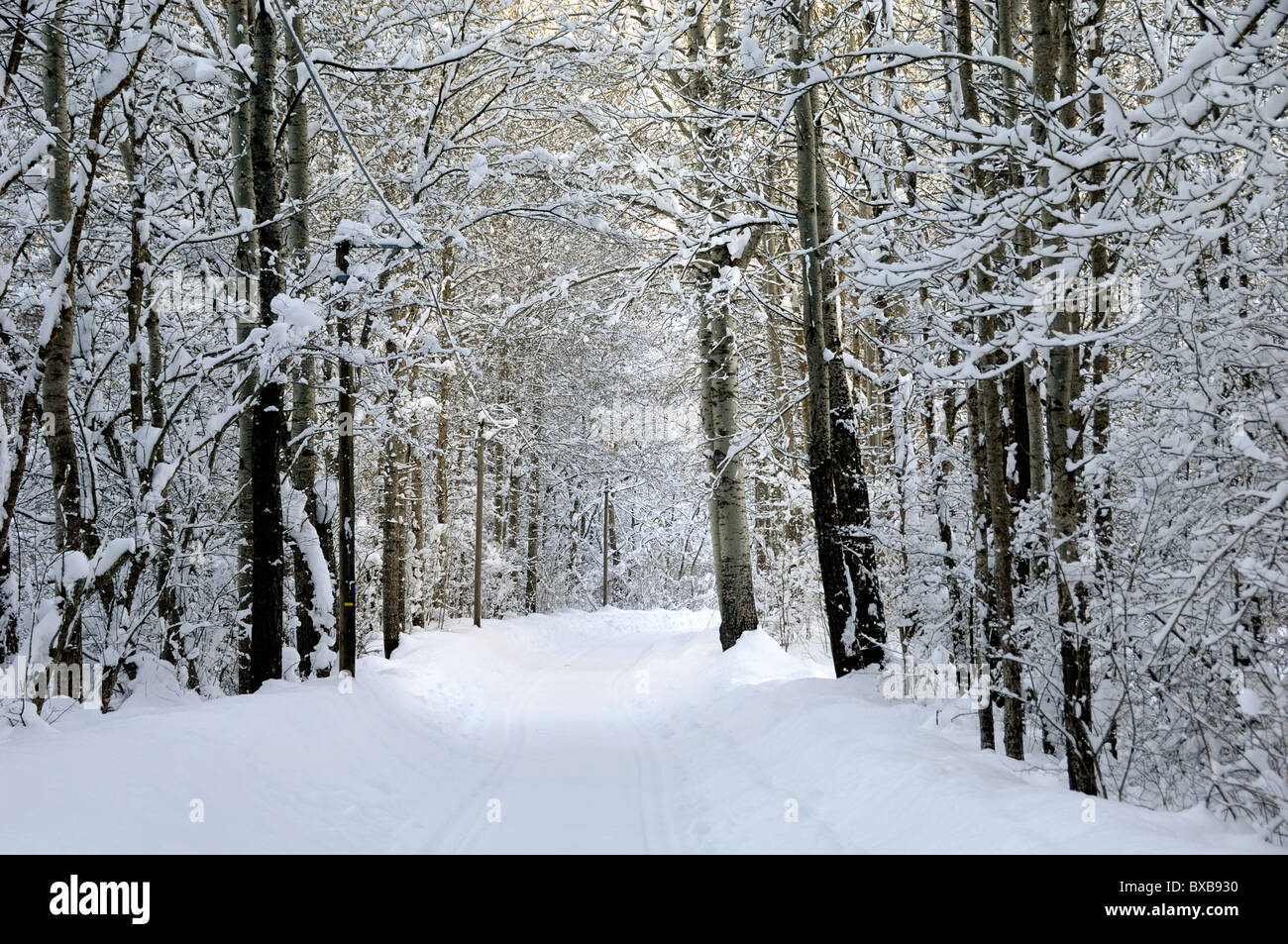 Snowy track through landscape hi-res stock photography and images - Alamy