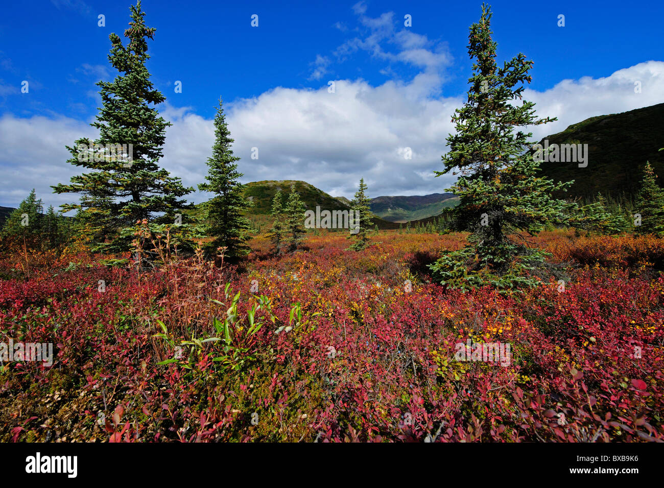 Alaska autumn landscape hi-res stock photography and images - Alamy