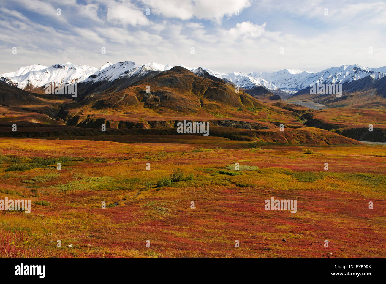 Tundra landscape alaska hi-res stock photography and images - Alamy