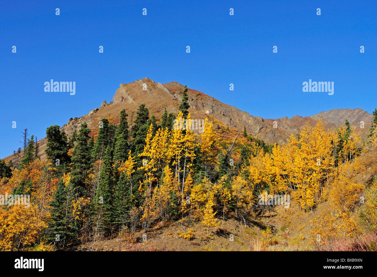 Igloo Mountain, Denali National Park, Alaska Stock Photo - Alamy