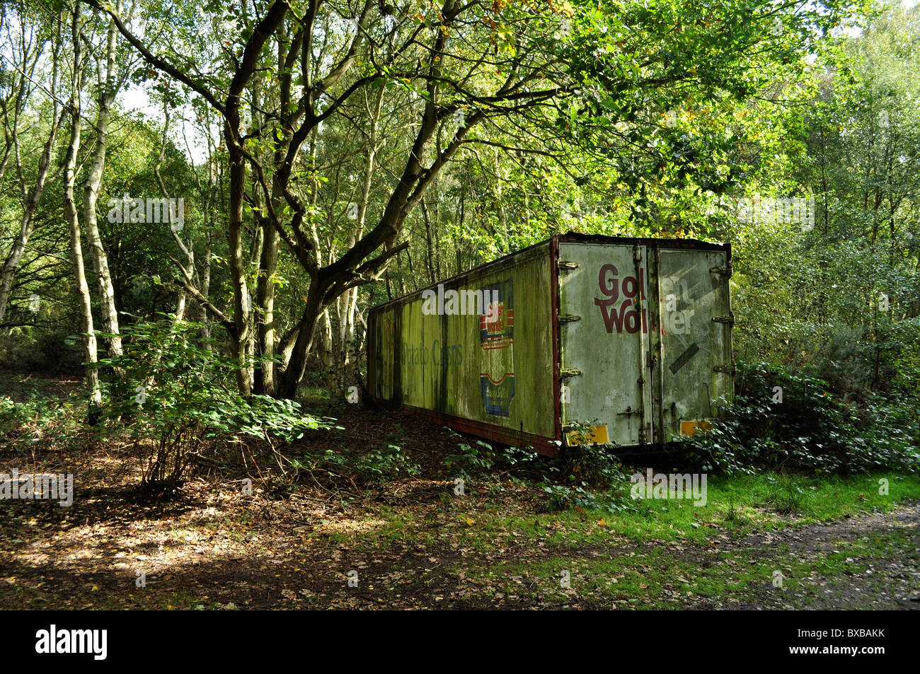 Shipping Container Forest
