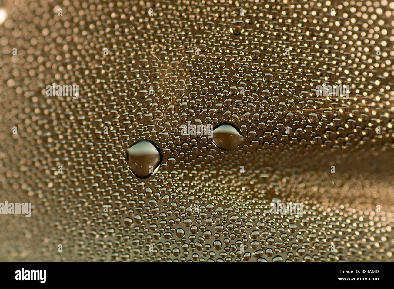 Closeup abstract of many condensated drops of water on a transparent ...