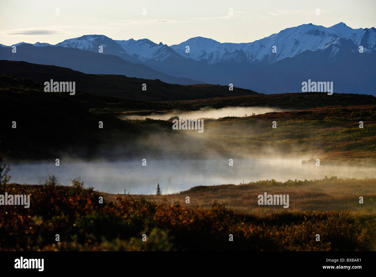 Steam rising from the beaver ponds into the cold air, early morning ...