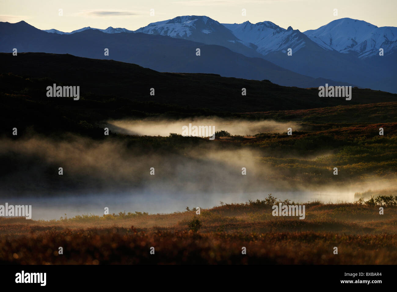 Steam rising from the beaver ponds into the cold air, early morning ...