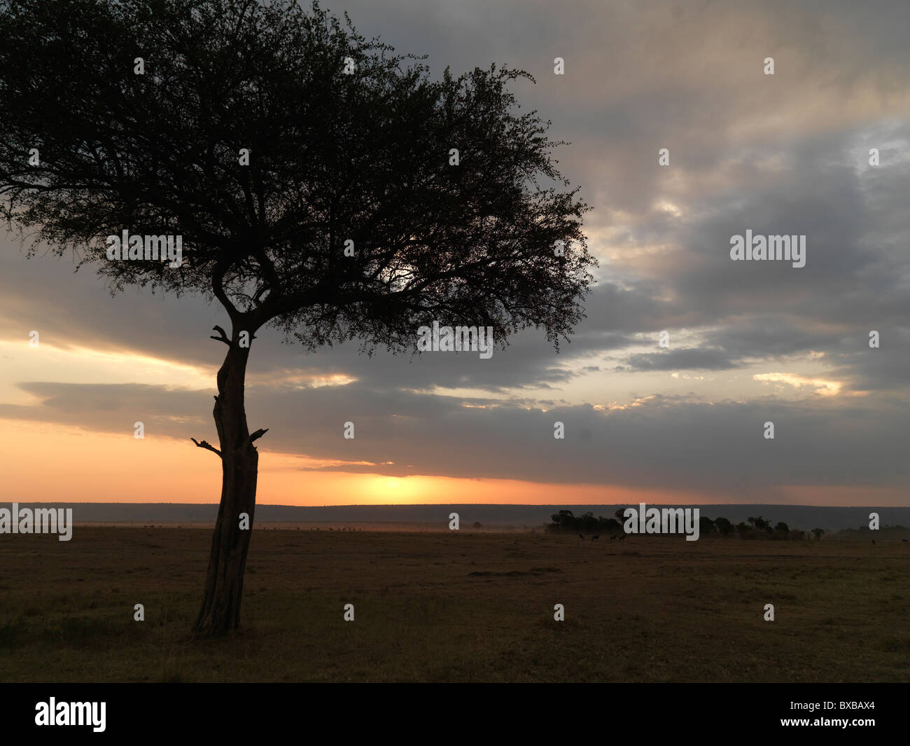 Sunsets in africa hi-res stock photography and images - Alamy