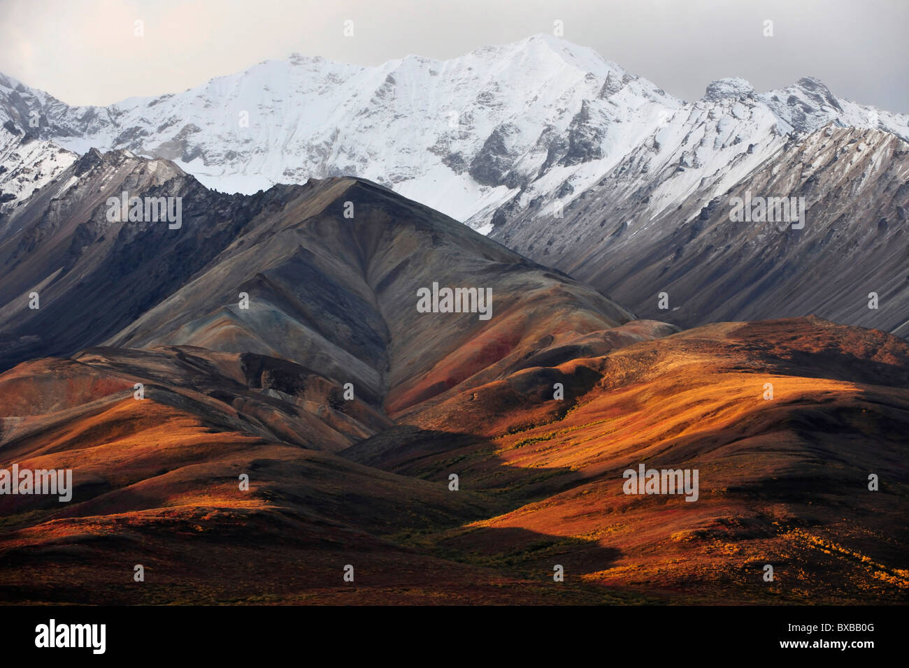 Alaska Range, Denali National Park, Alaska Stock Photo - Alamy