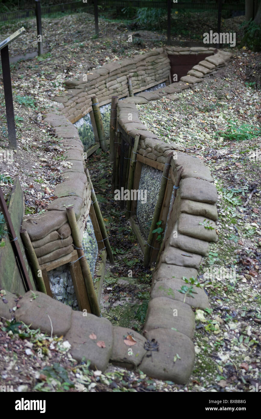 World war i trench authuille wood hi-res stock photography and images ...