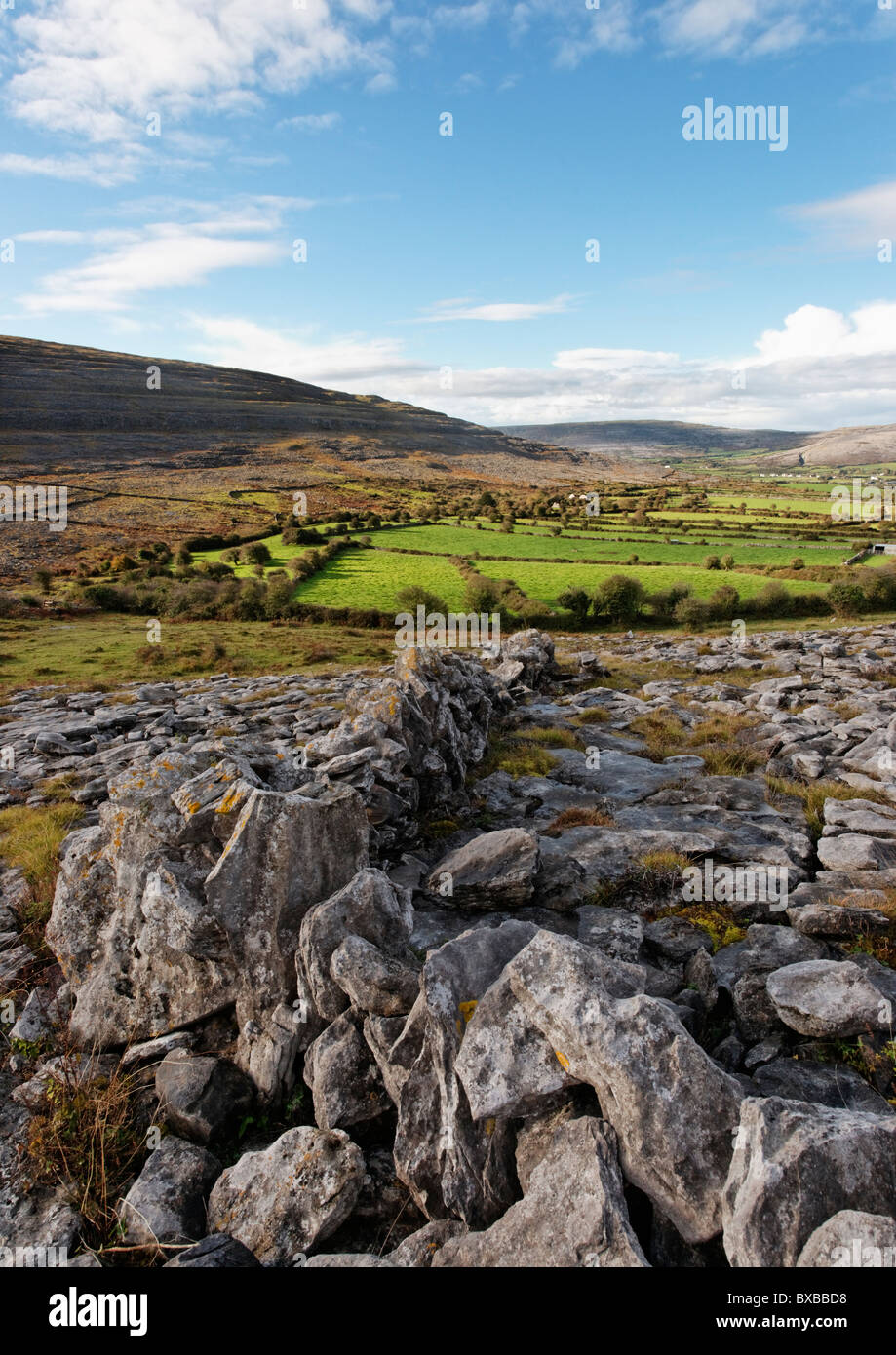A Burren landscape at Oughtmama, near Turlough, The Burren, County ...