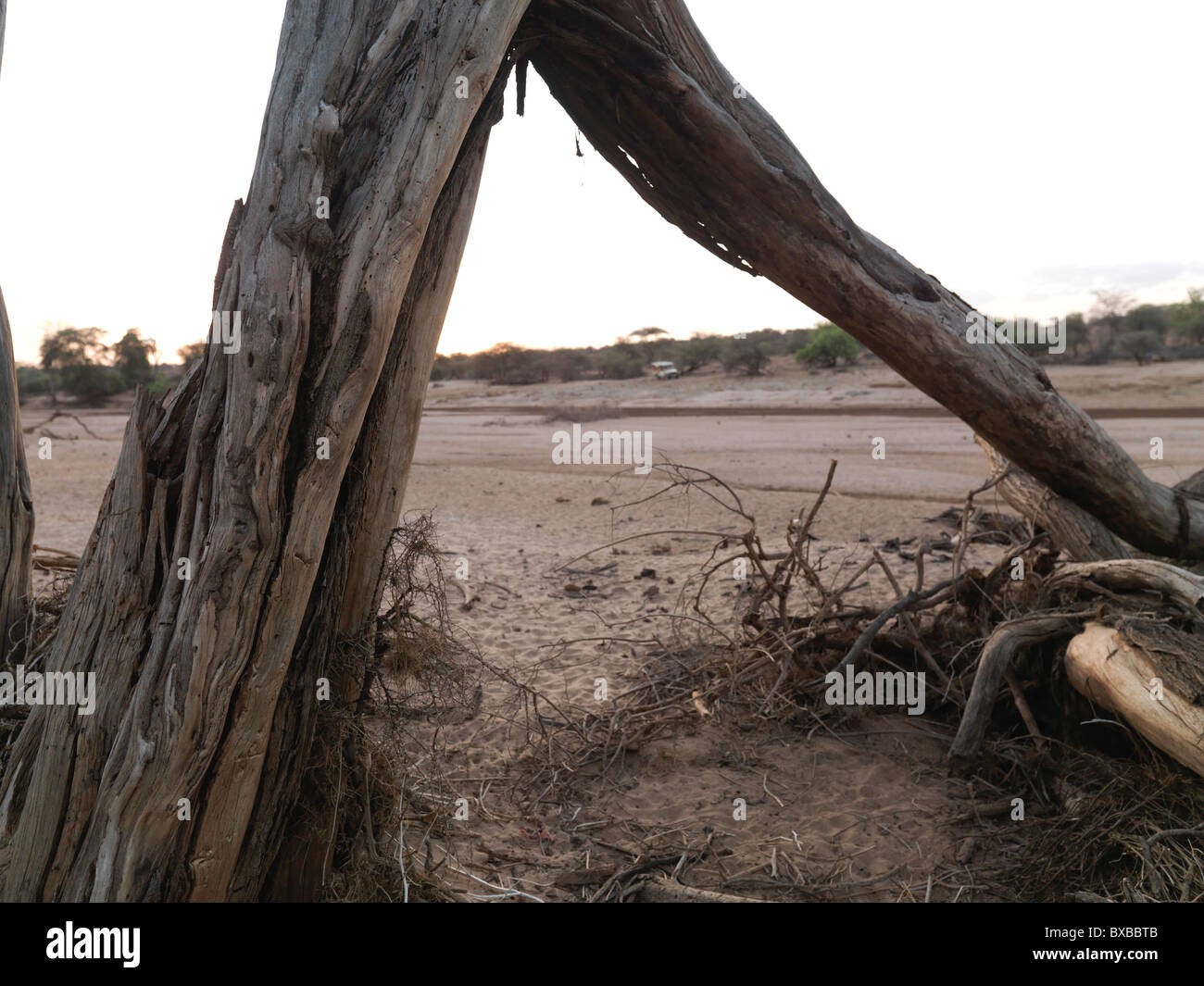 Dried riverbed in Kenya Africa Stock Photo - Alamy