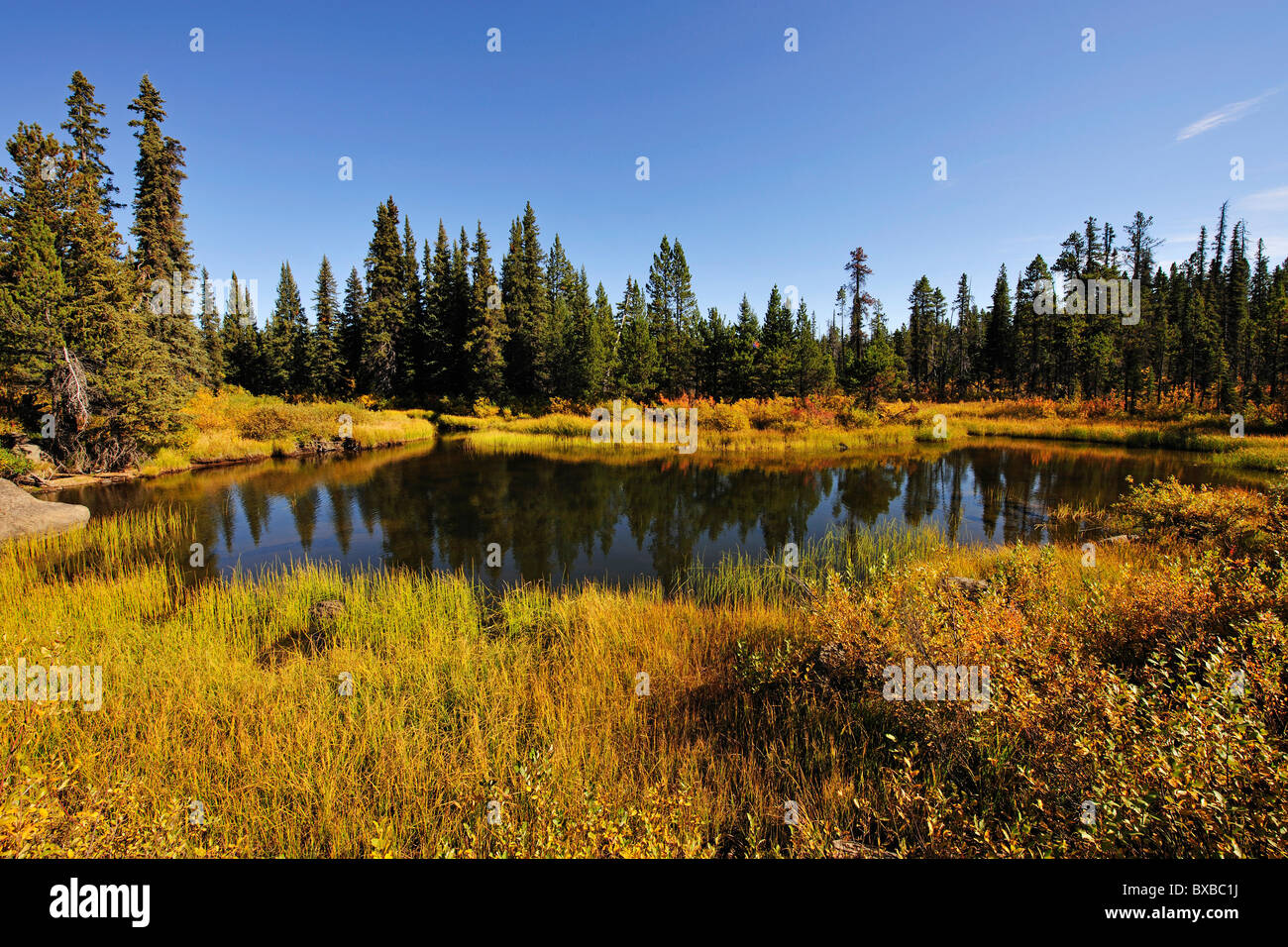 In the Chilcotin Country between Williams Lake and the coastal ...