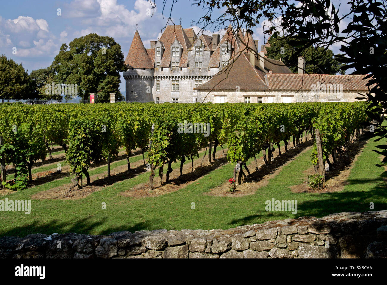 Chateau Monbazillac vineyard, Dordogne, Aquitaine, France, Europe Stock ...
