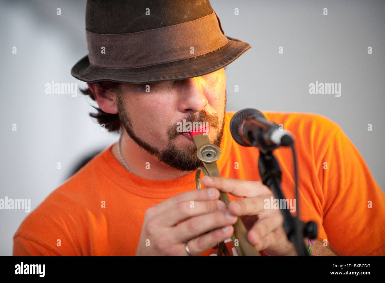 Kazoo hi-res stock photography and images - Alamy